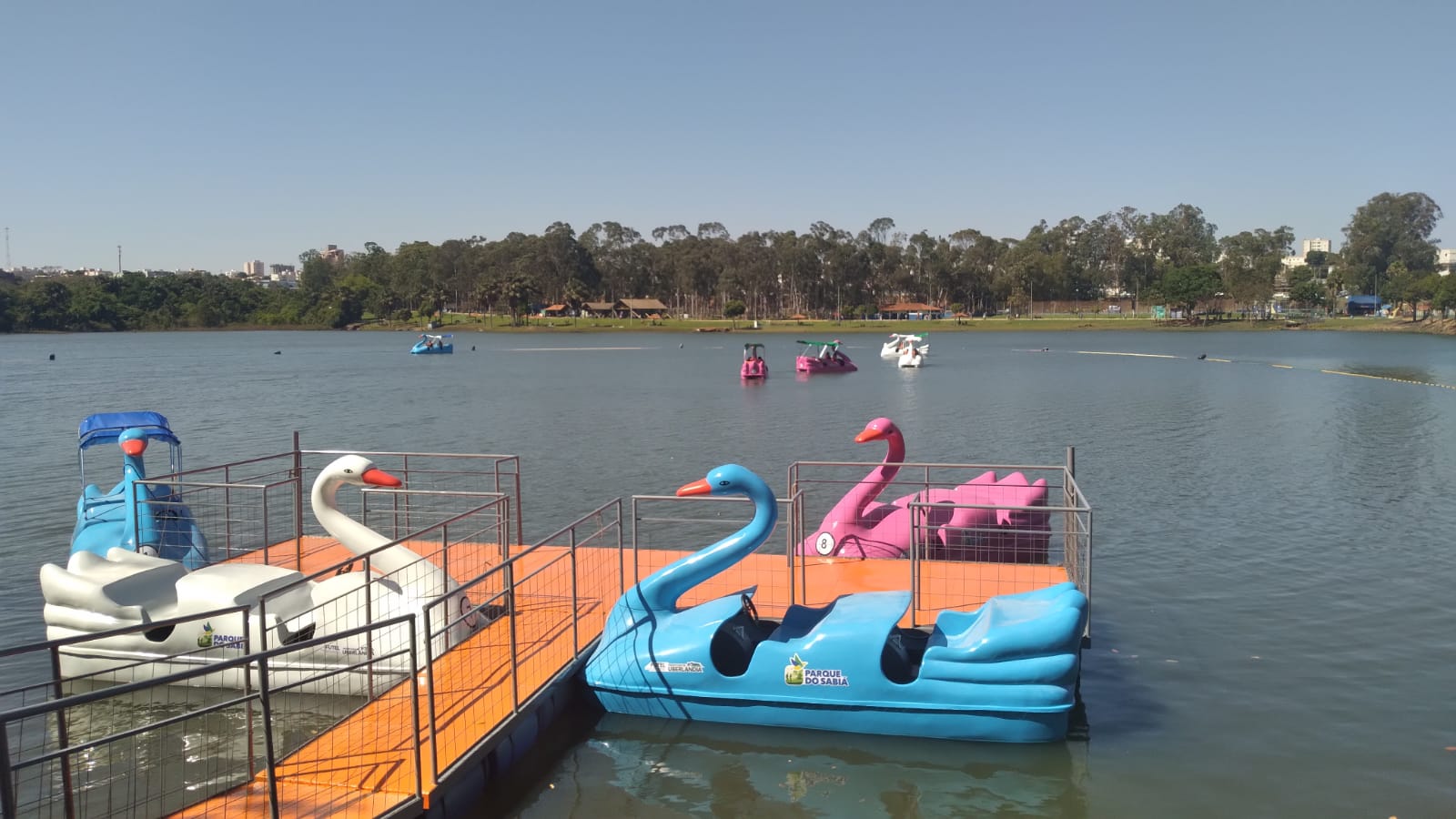 Parque do Sabiá comemora 42 anos de história – Portal da Prefeitura de ...